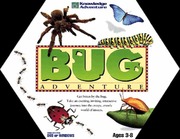 Bug Adventure